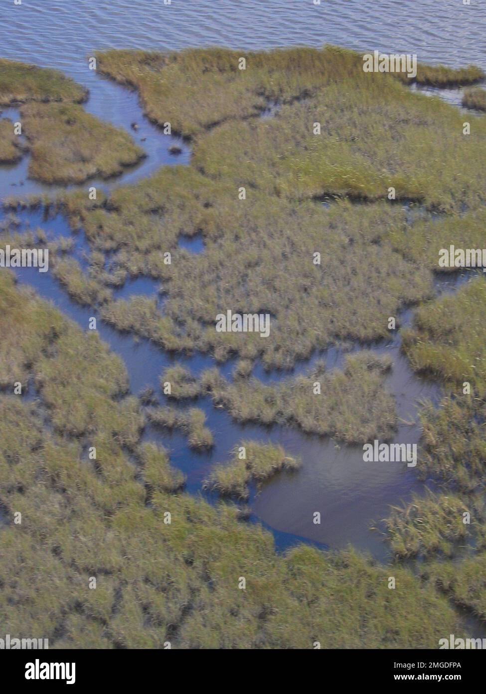 Pollution - ESU St. Louis Response - Shell Narin - 26-HK-247-101. Salt ...