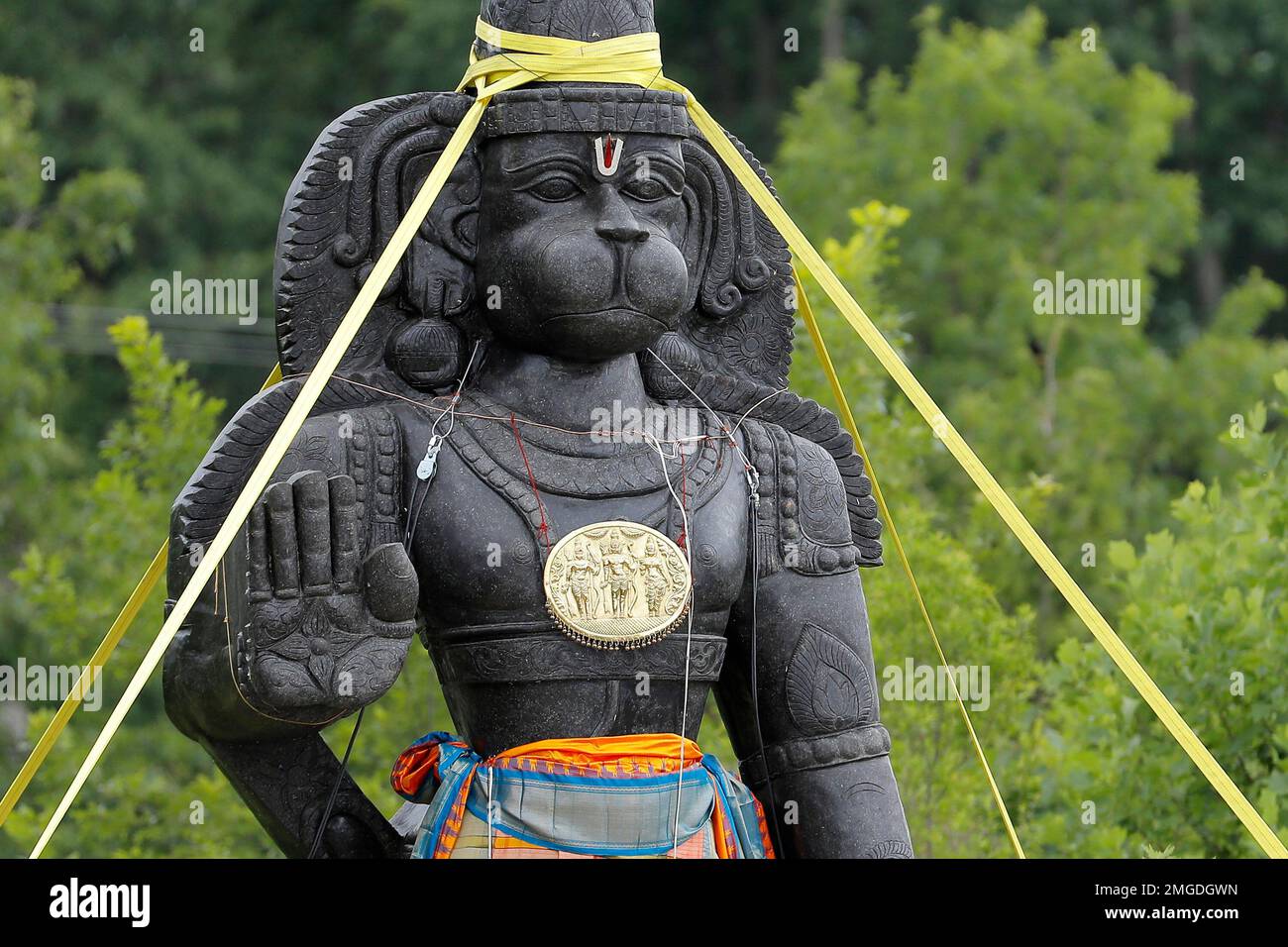 A statue of the Hindu god Hanuman is seen with support straps on the ...