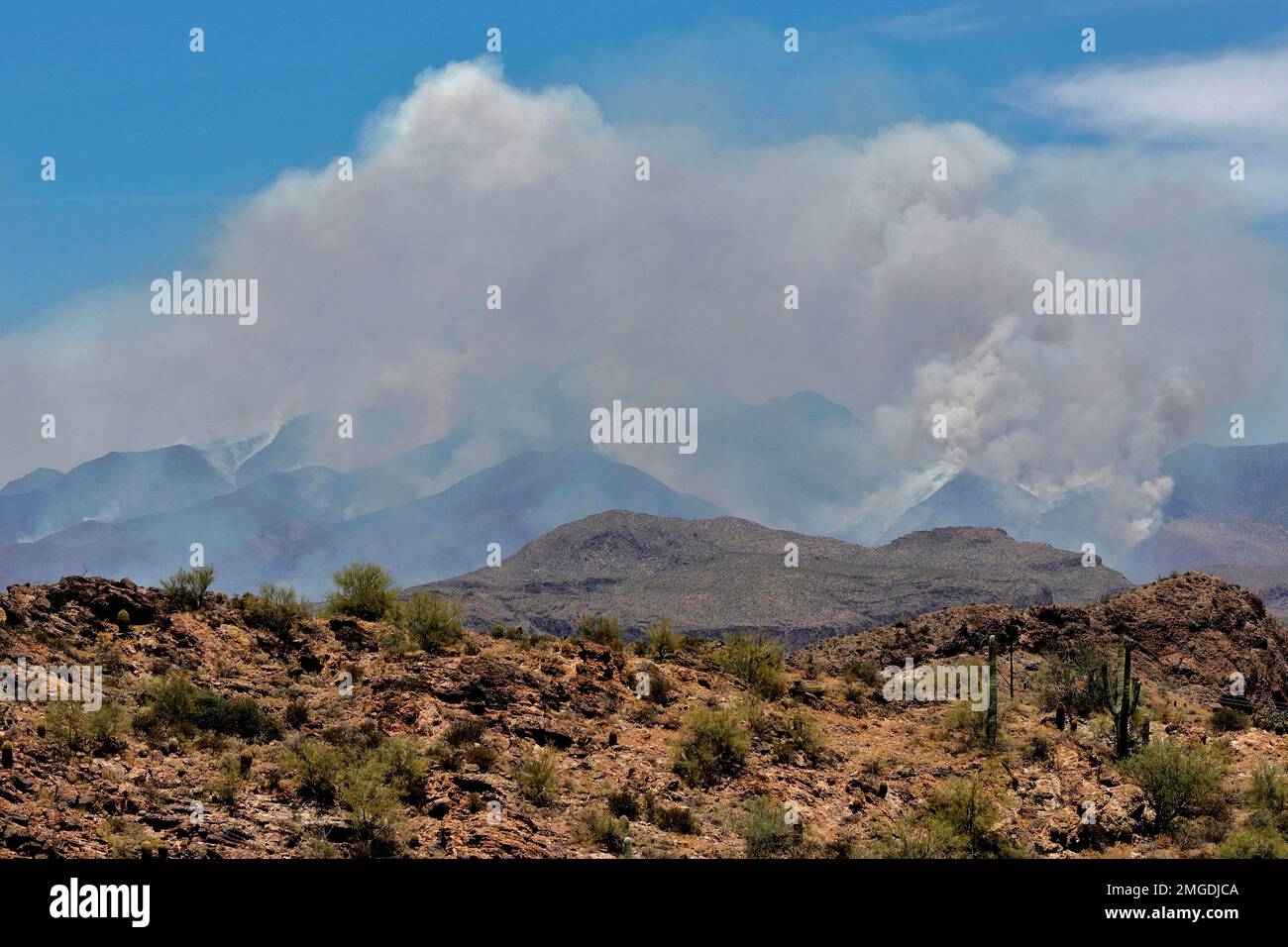 A portion of the Bush fire burns through the Tonto National Forest ...