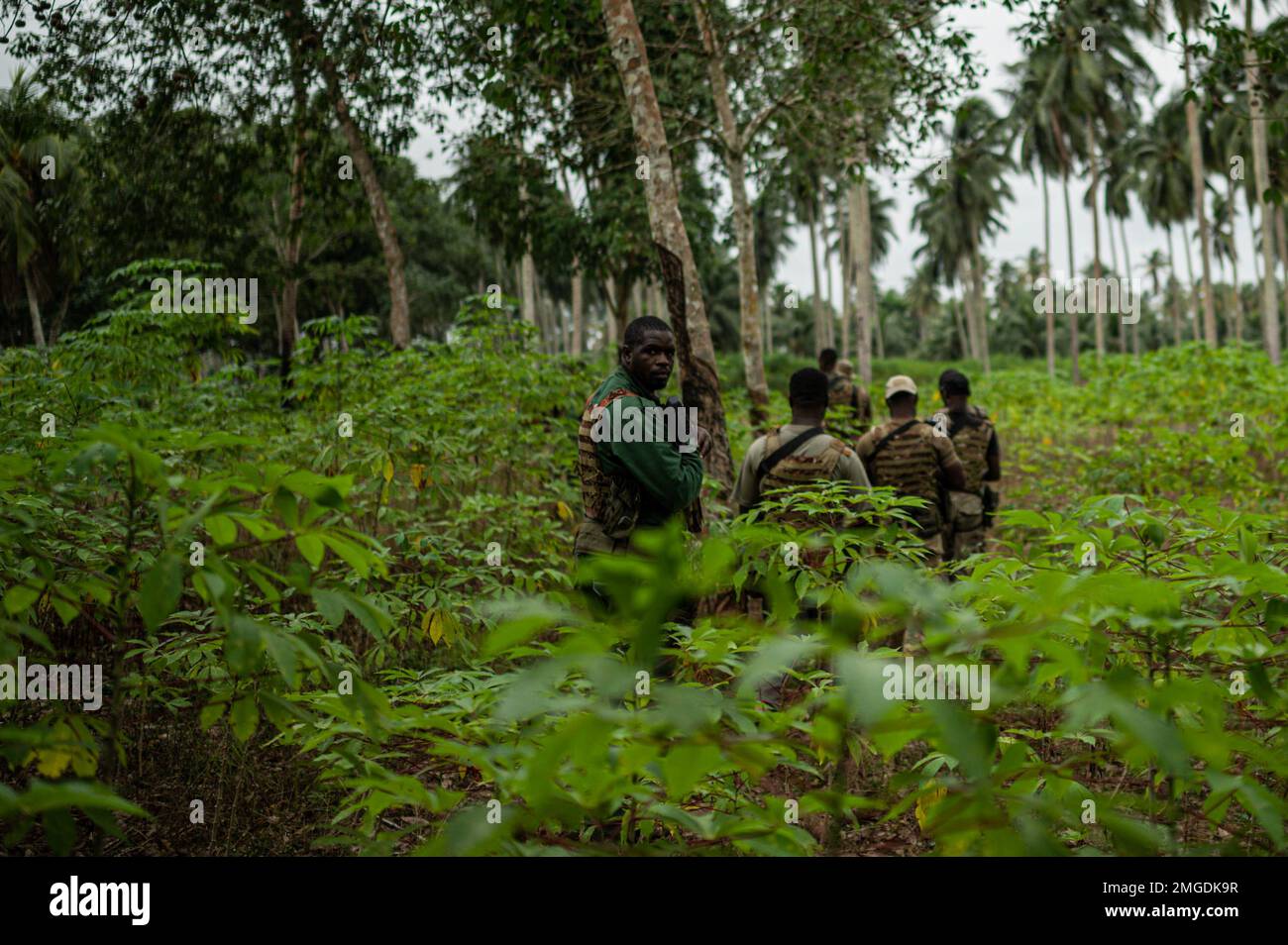 U.S. and Côte d'Ivoirian special operations forces conduct Joint ...