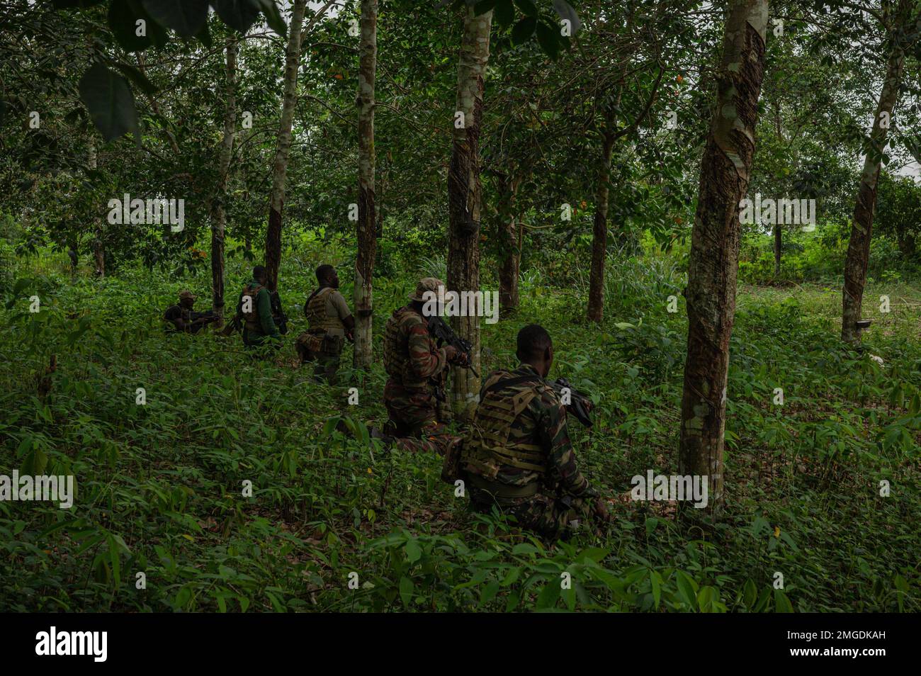 U.S. and Côte d'Ivoirian special operations forces conduct Joint ...