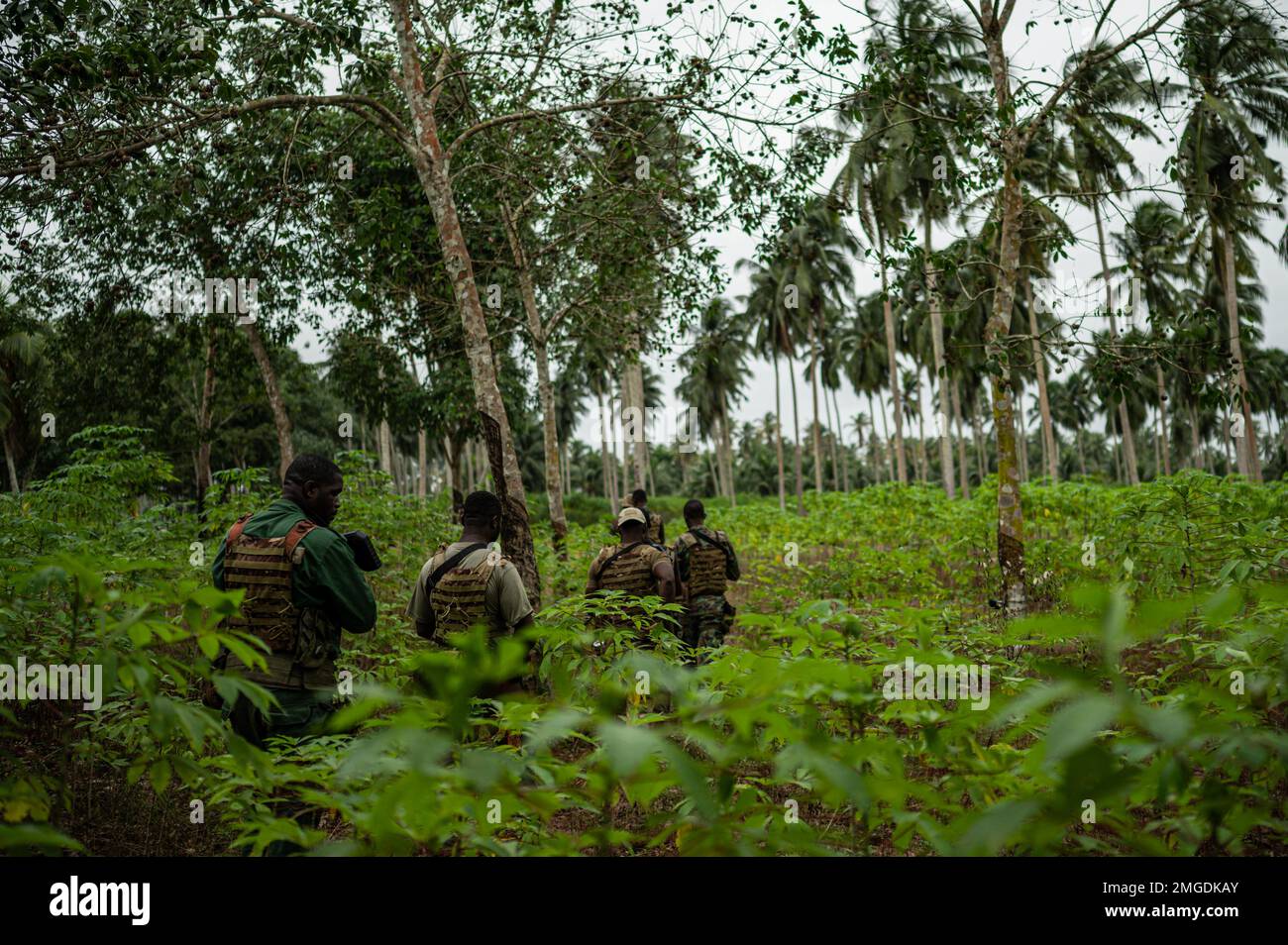 U.S. and Côte d'Ivoirian special operations forces conduct Joint ...