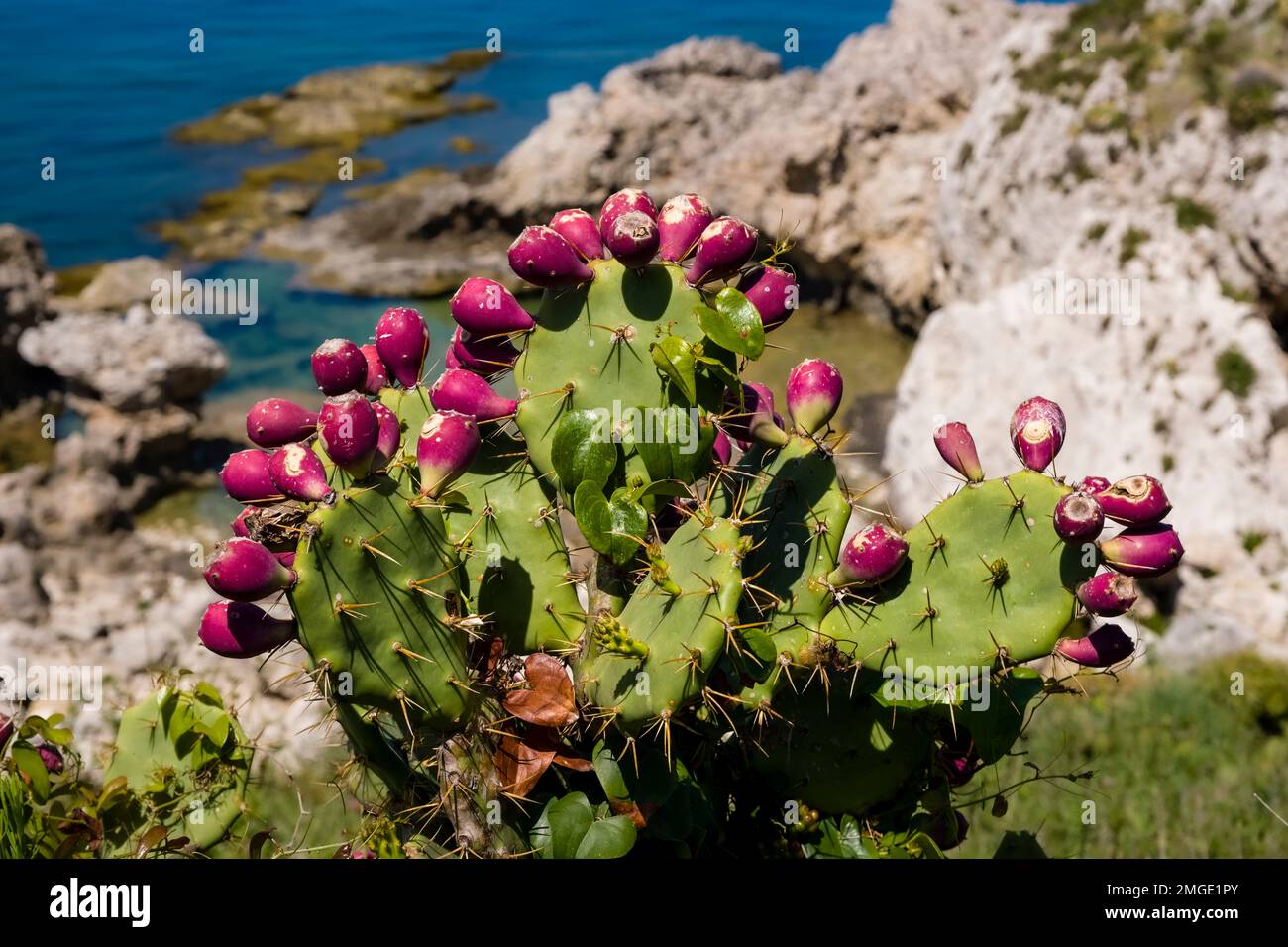 Above the pool hi-res stock photography and images - Alamy