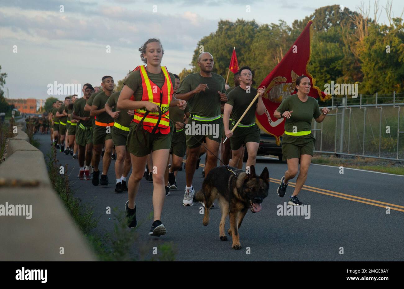 U.S. Marine Corps Cpl. Cierra Smith, a military working dog handler ...