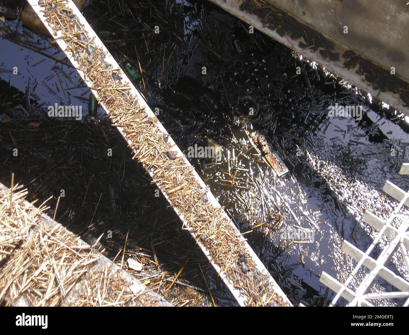 Pollution - ESU St. Louis Response - North Bass - 26-HK-231-47. BPS OIL ...