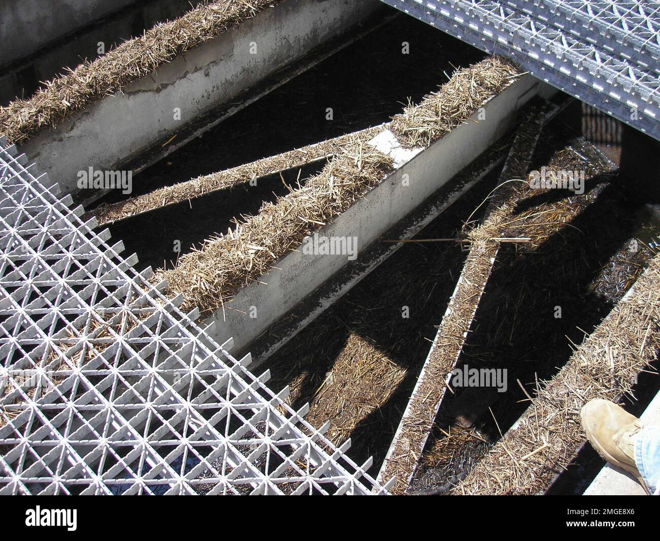 Pollution - ESU St. Louis Response - North Bass - 26-HK-231-48. BPS OIL ...