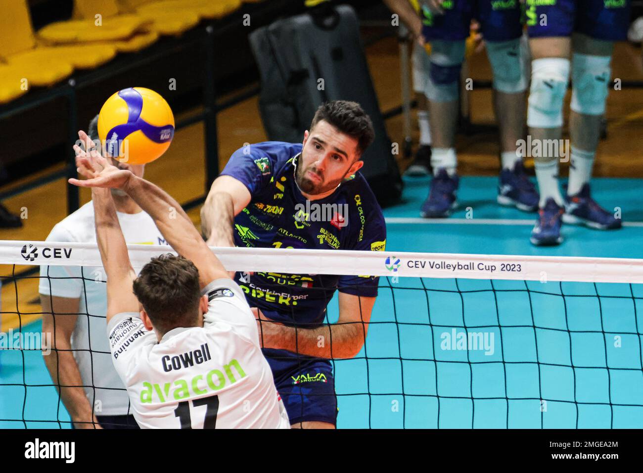 Adis lagumdzija hi-res stock photography and images - Alamy