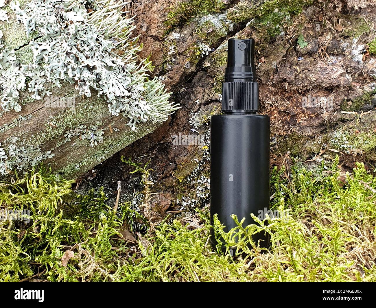 Unbranded black plastic spray and green forest moss. Front view, mockup ...