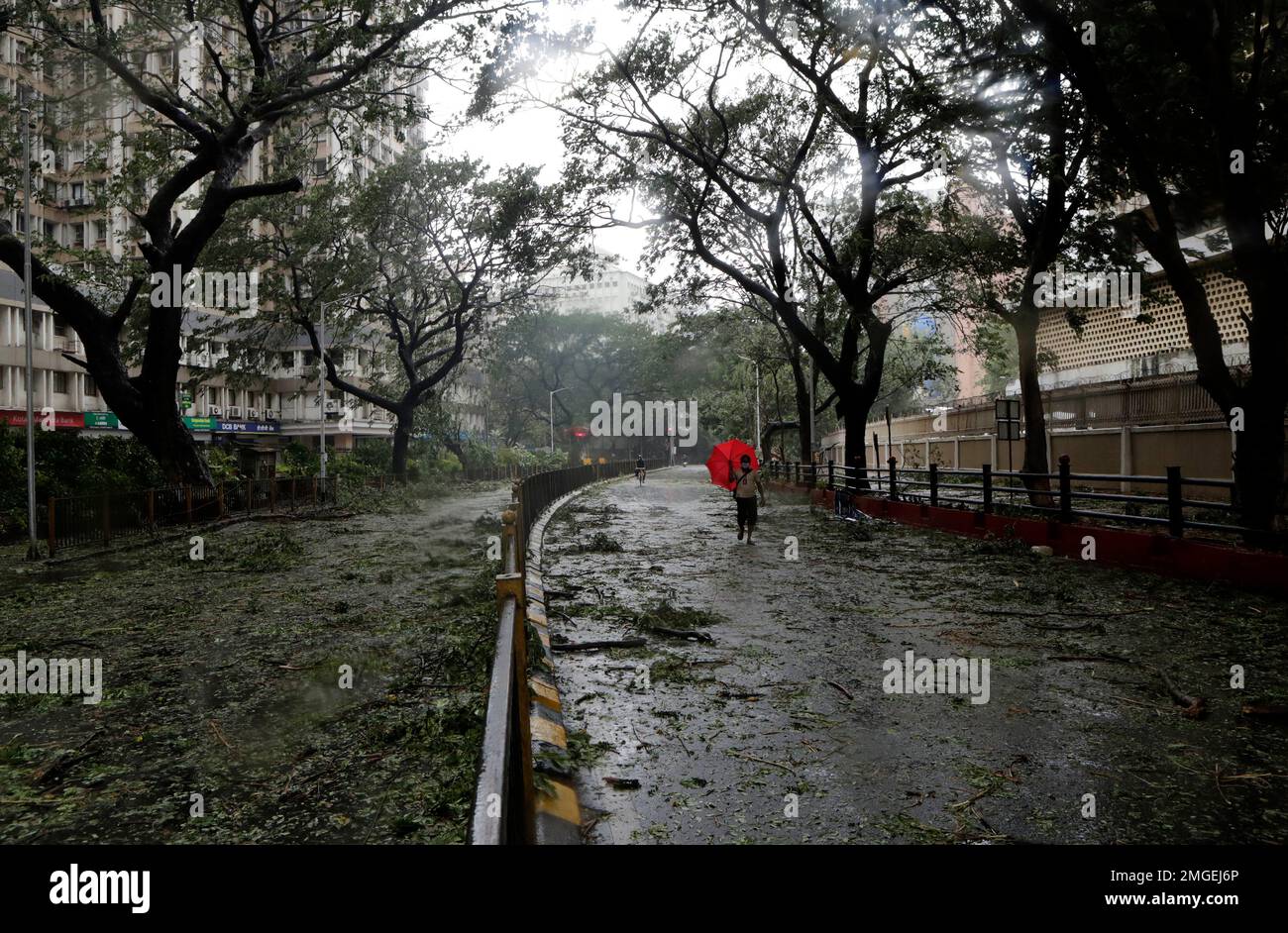 Leaves lying scattered on a street during cyclone in Mumbai, India ...
