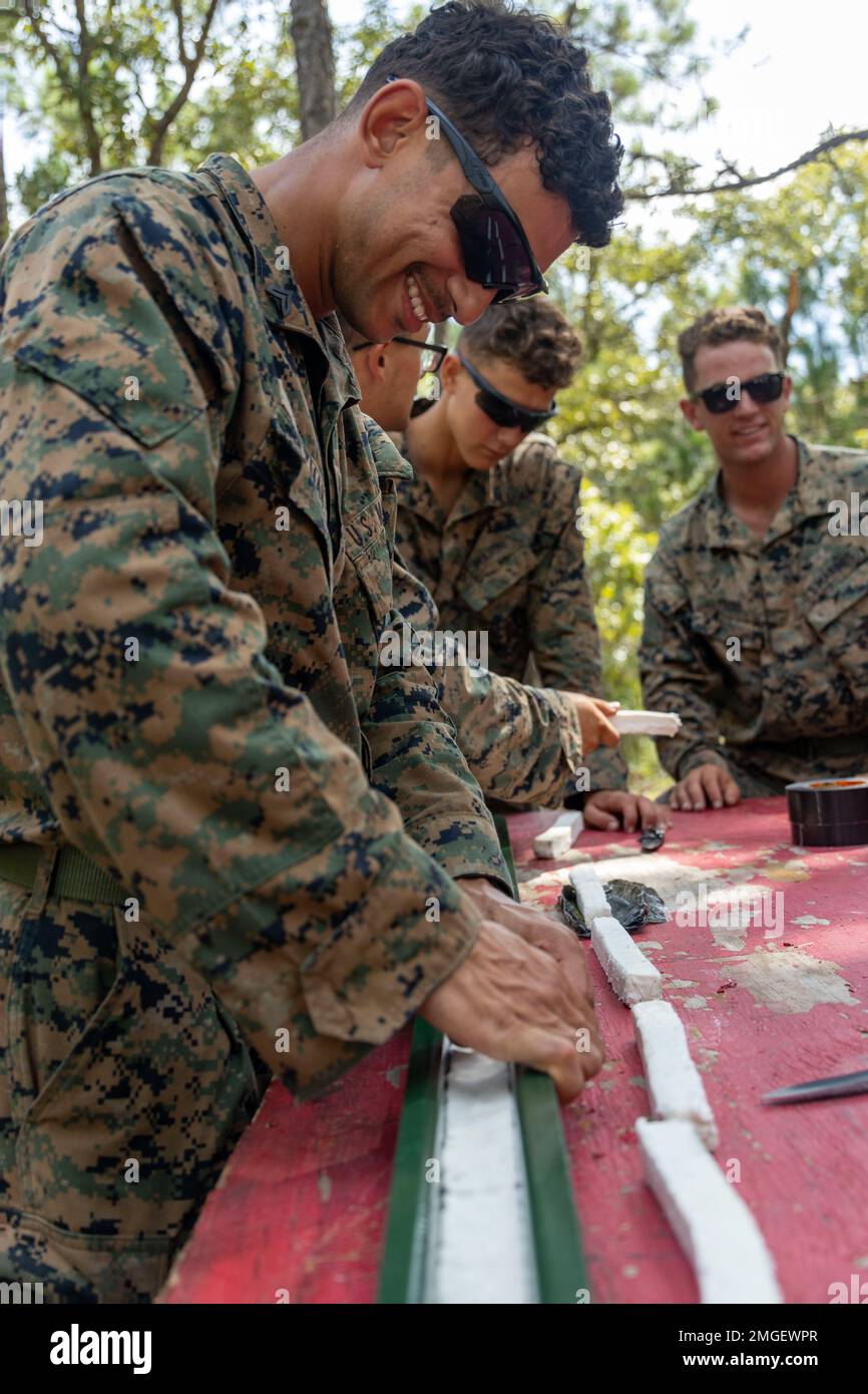 U.S. Marine Corps Cpl. Esteban Guzman, a combat engineer with Combat ...