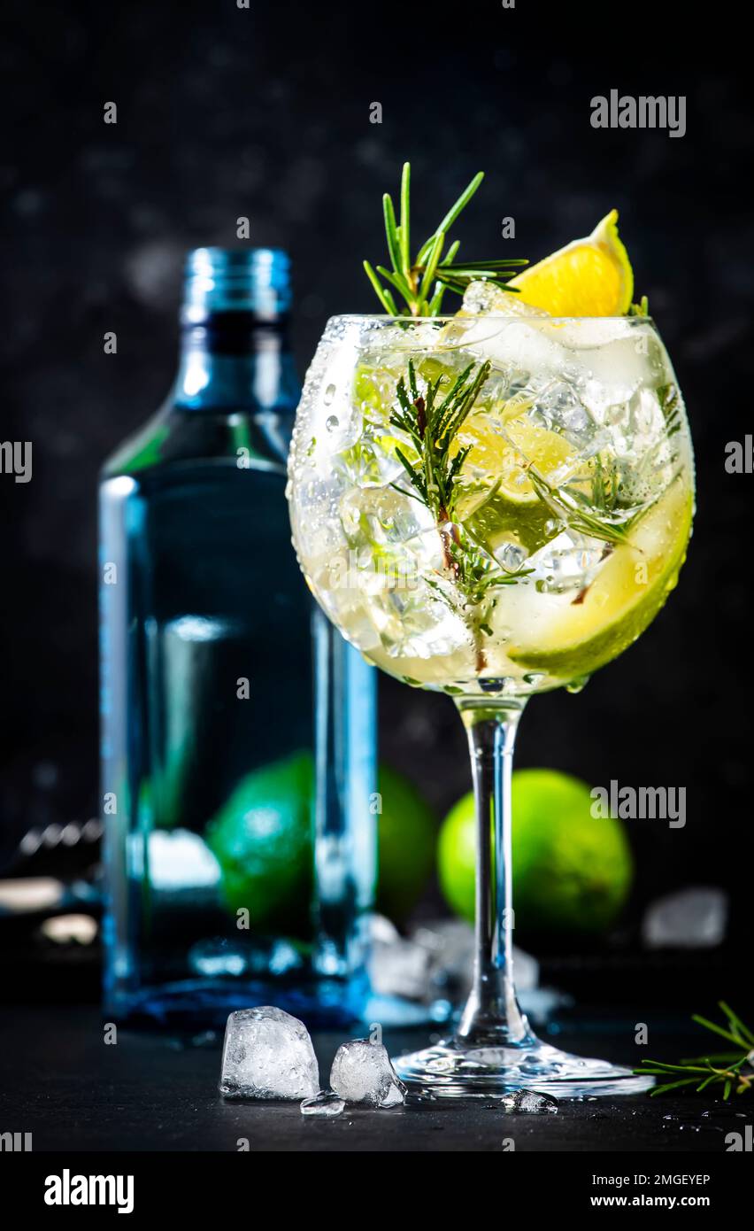 Gin tonic cocktail with dry gin, rosemary, tonic, lime and ice cubes in ...