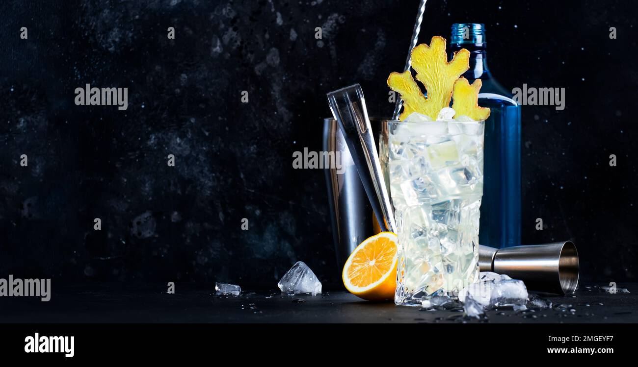 Gin mule cocktail with dry gin, syrup, lemon juice, soda, lime and ...