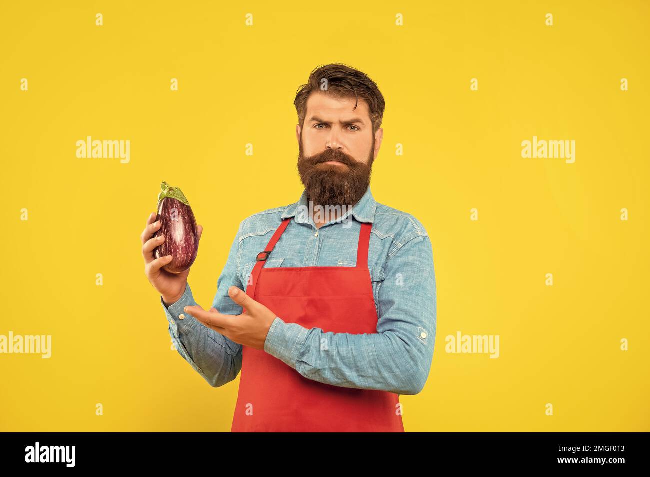 Serious man in red apron showing eggplant yellow background, grocer ...