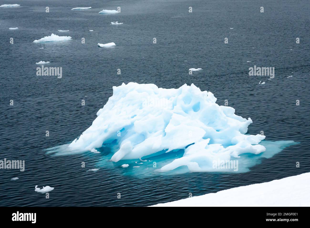 Icebergs, each totally individual, like hand-crafted ice sculpture ...
