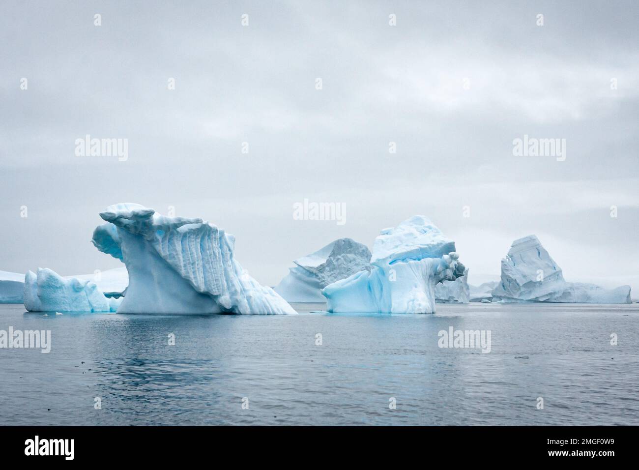 Icebergs, each totally individual, like hand-crafted ice sculpture ...