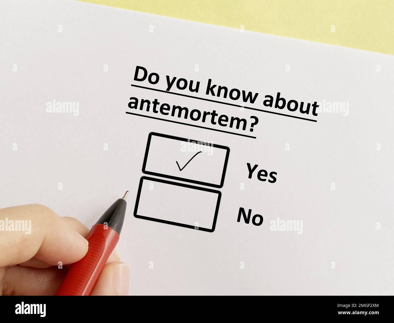 Antemortem hi-res stock photography and images - Alamy