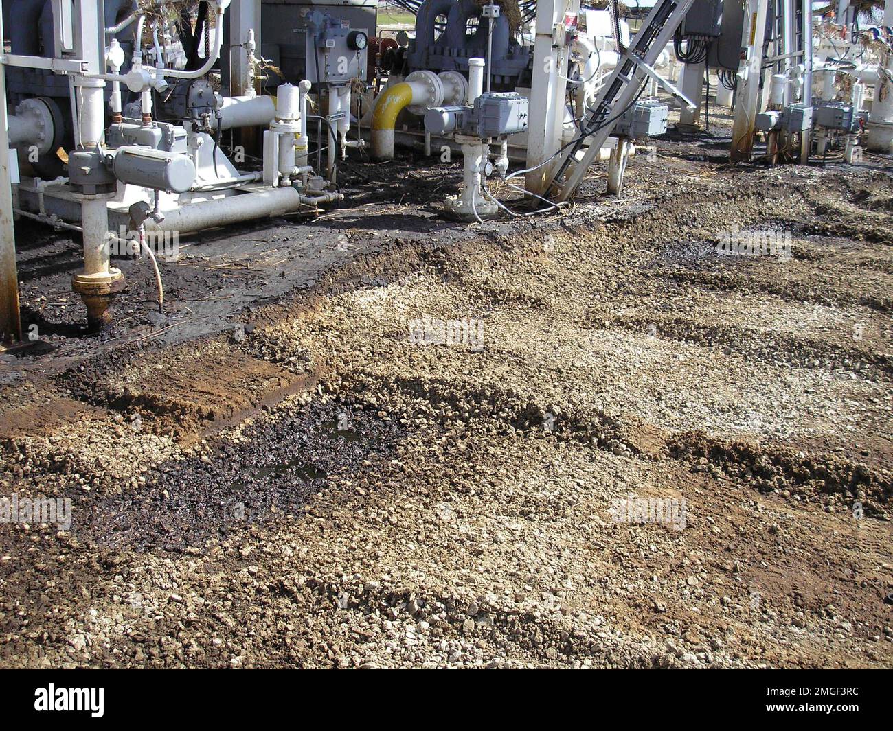 Hk west coast hi-res stock photography and images - Alamy