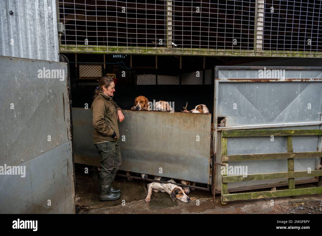 Lauder, Scottish Borders, Scotland, UK. 25th January 2023 Scotland, UK ...