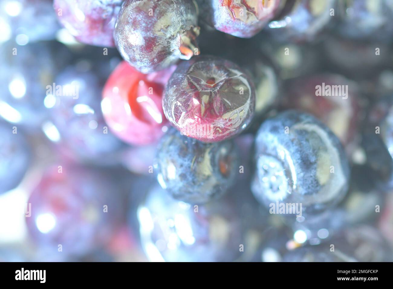 Blueberries, background of berries, top view. Defocused blueberry ...