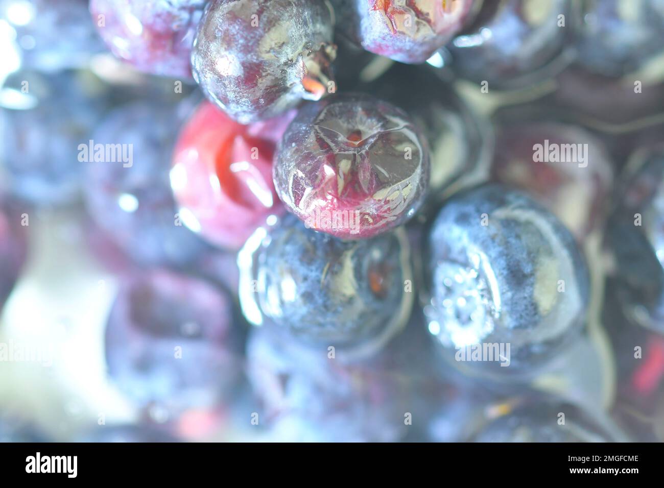 Blueberries, background of berries, top view. Defocused blueberry ...