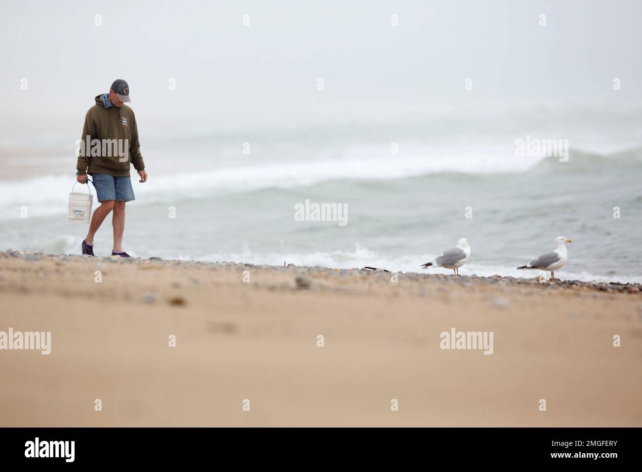 A man walks on Marconi Beach, part of Cape Cod National Seashore ...