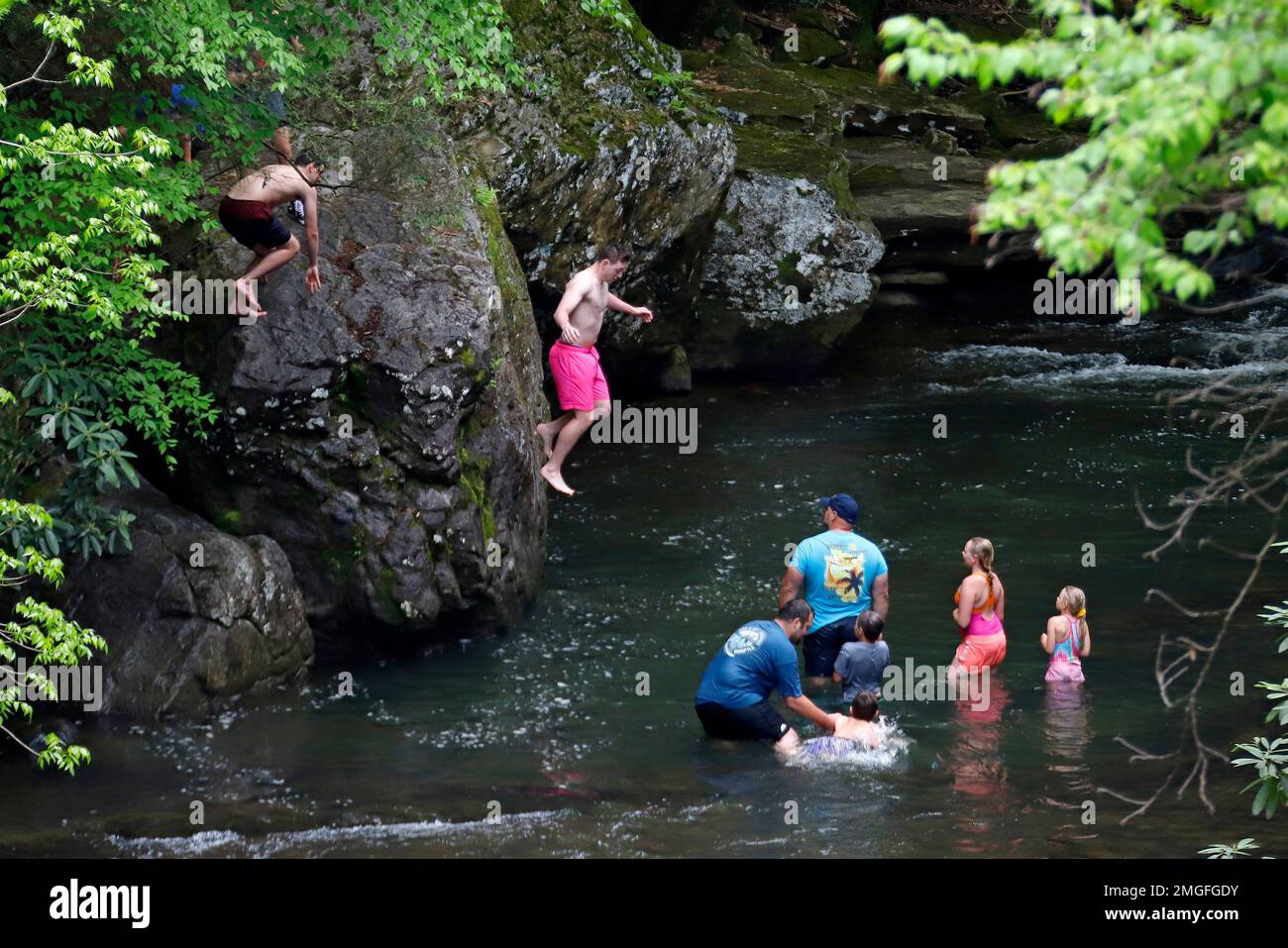 A visitor to Ohiopyle State Park jumps from a rock in Meadow Run in ...