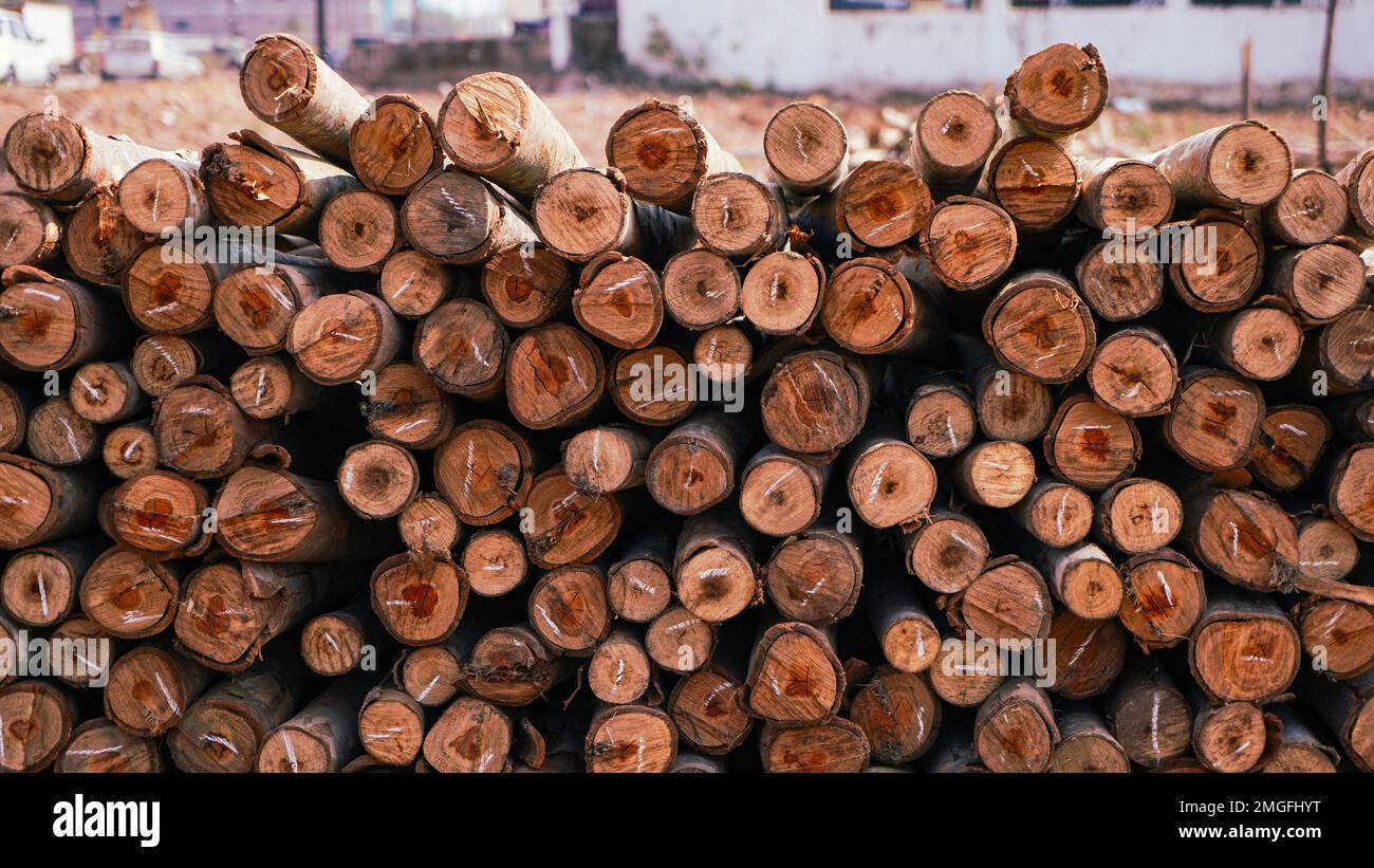 Beautiful wood kept in pattern creating a nice background, Storage ...