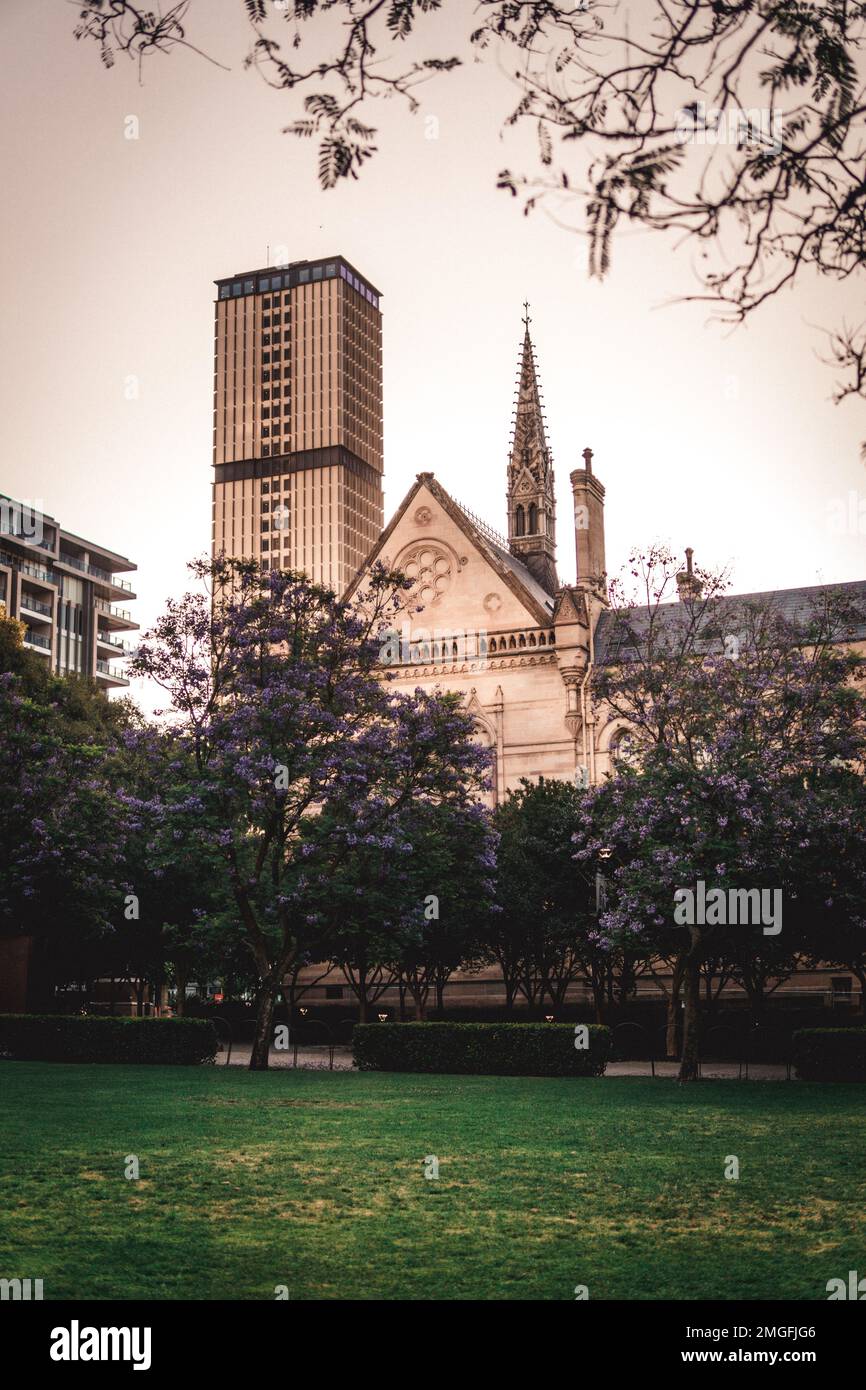Australia adelaide victoria square tram hi-res stock photography and ...
