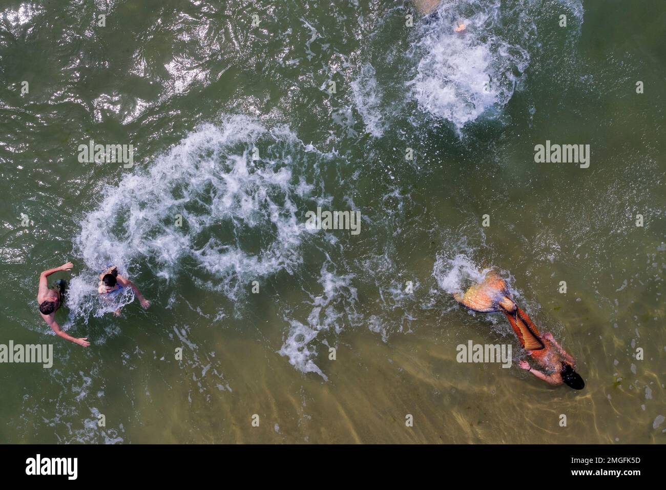A member of the Israeli Mermaids Community swims with a mermaid tail at ...