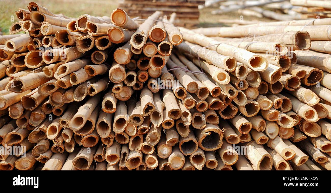 Beautiful wood kept in pattern creating a nice background, Storage ...