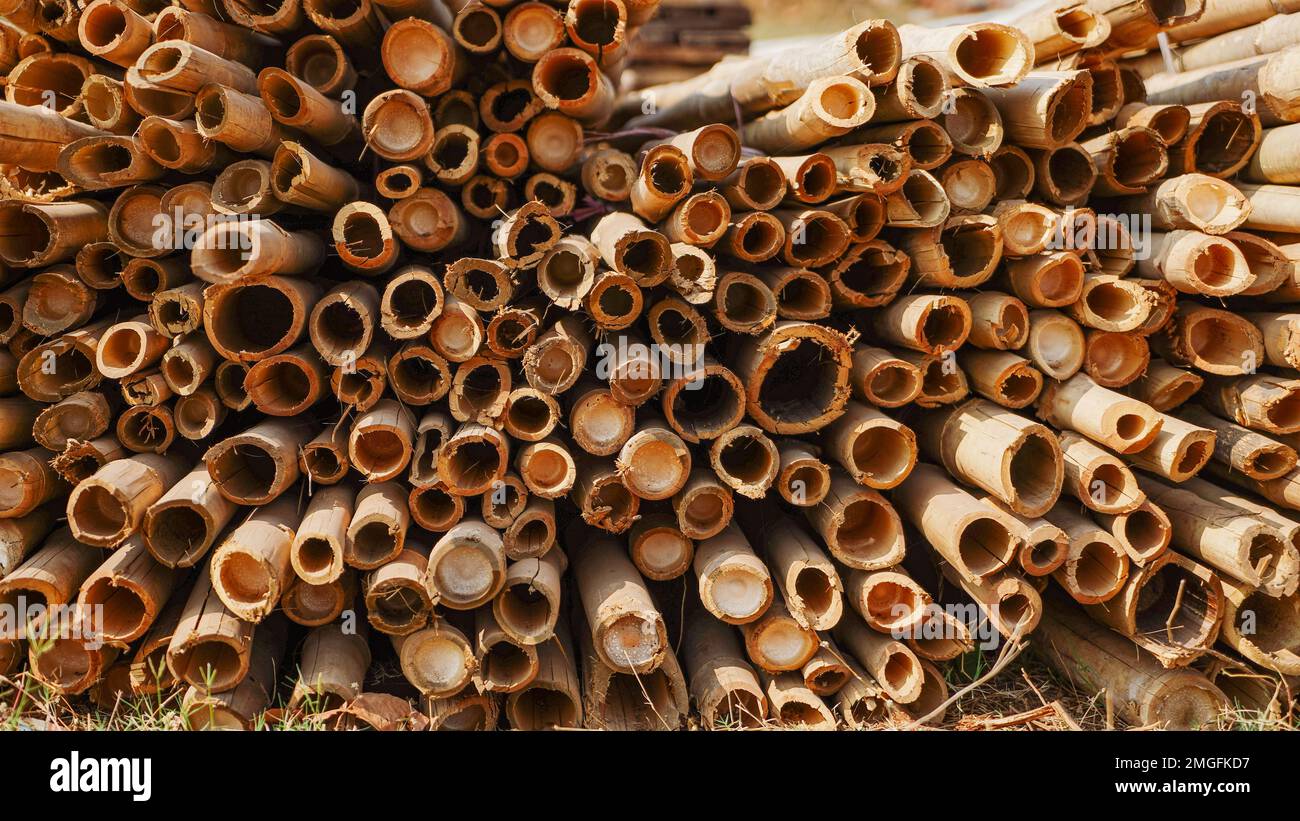 Beautiful wood kept in pattern creating a nice background, Storage ...