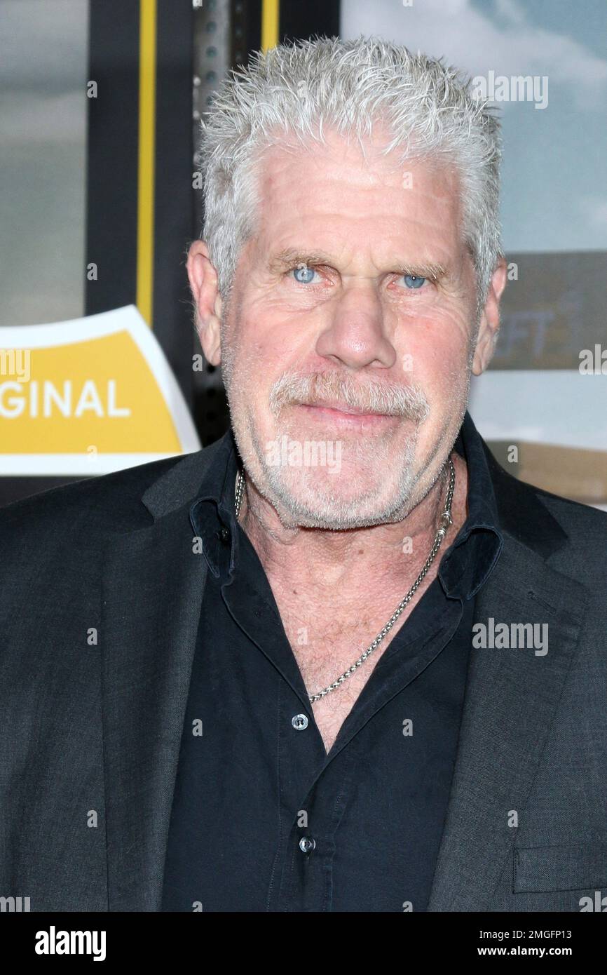 LOS ANGELES - JAN 17: Ron Perlman at Poker Face Series Premiere at the ...