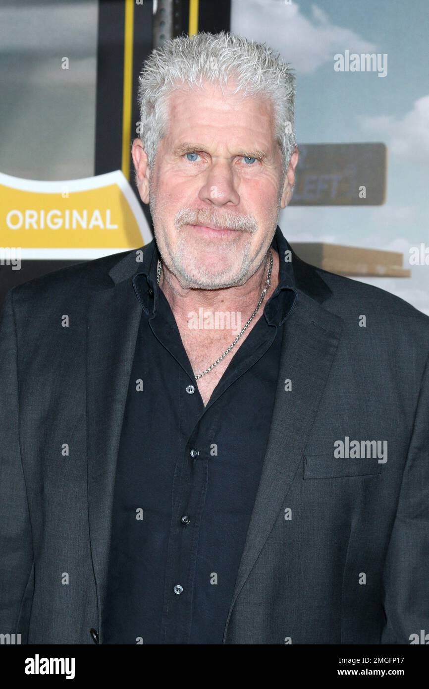 LOS ANGELES - JAN 17: Ron Perlman at Poker Face Series Premiere at the Hollywood Legion Theater ...