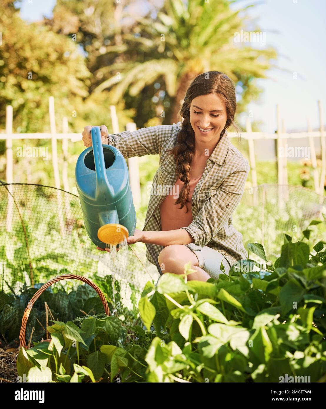 Giving her crops a drink. a happy young farmer watering herbs with a ...