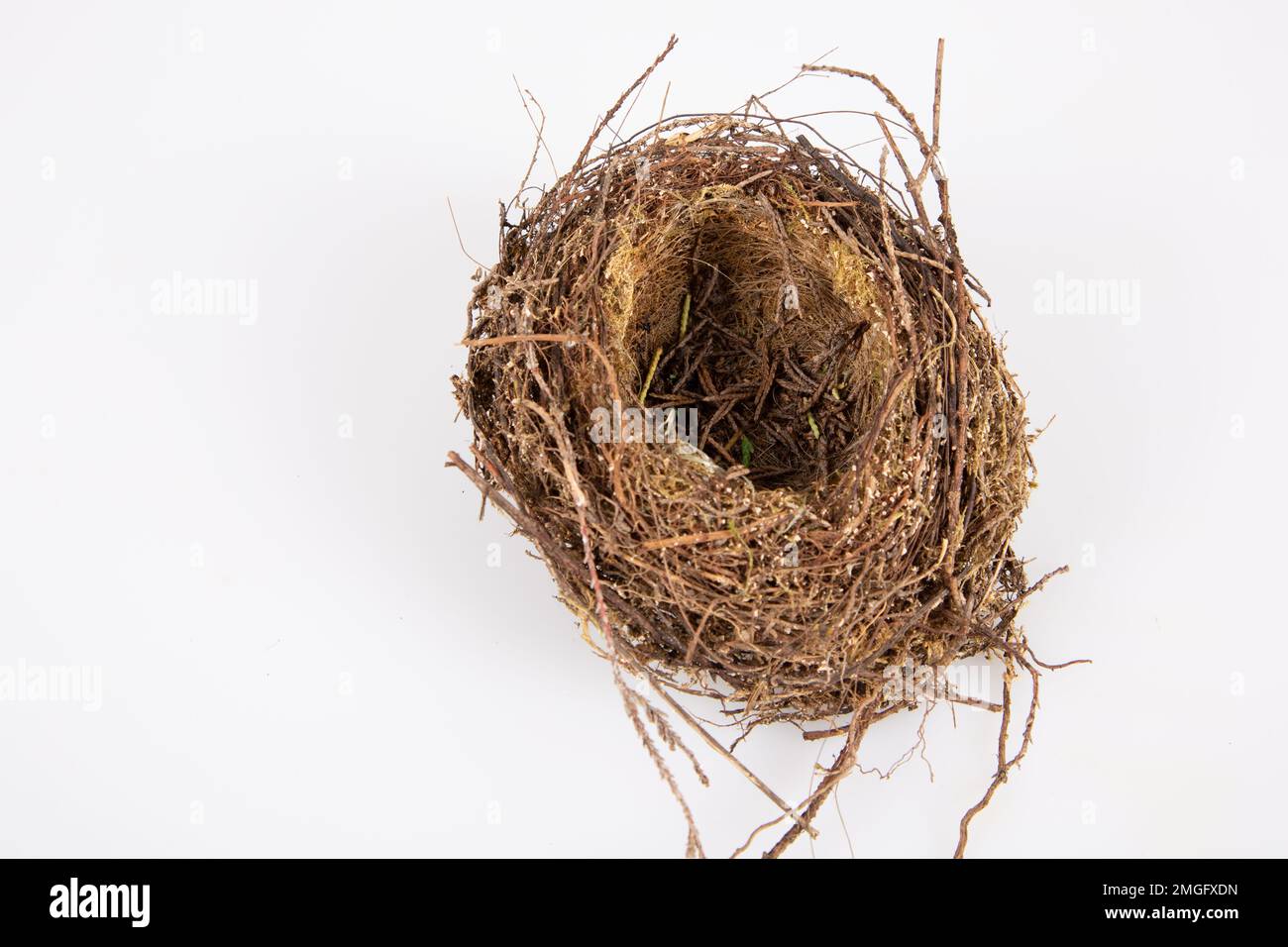 small bird nest isolated on white background Stock Photo - Alamy