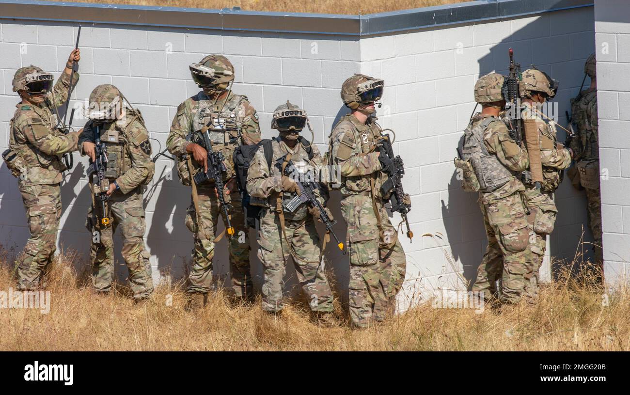 Soldiers from 3rd Platoon, Blackhorse Company, 2-3 Infantry Regiment, 1 ...