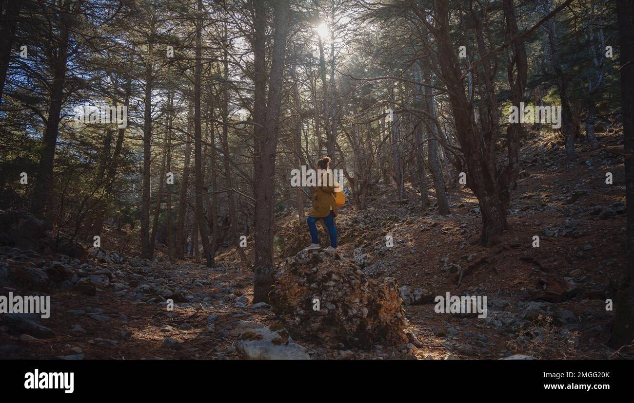 caucasian woman enjoys being in nature, beautiful forest in mountains ...