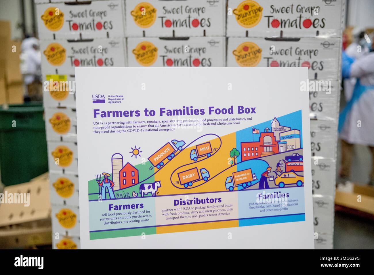 A USDA poster depicting a "Farmers to Families Food Box" program is ...