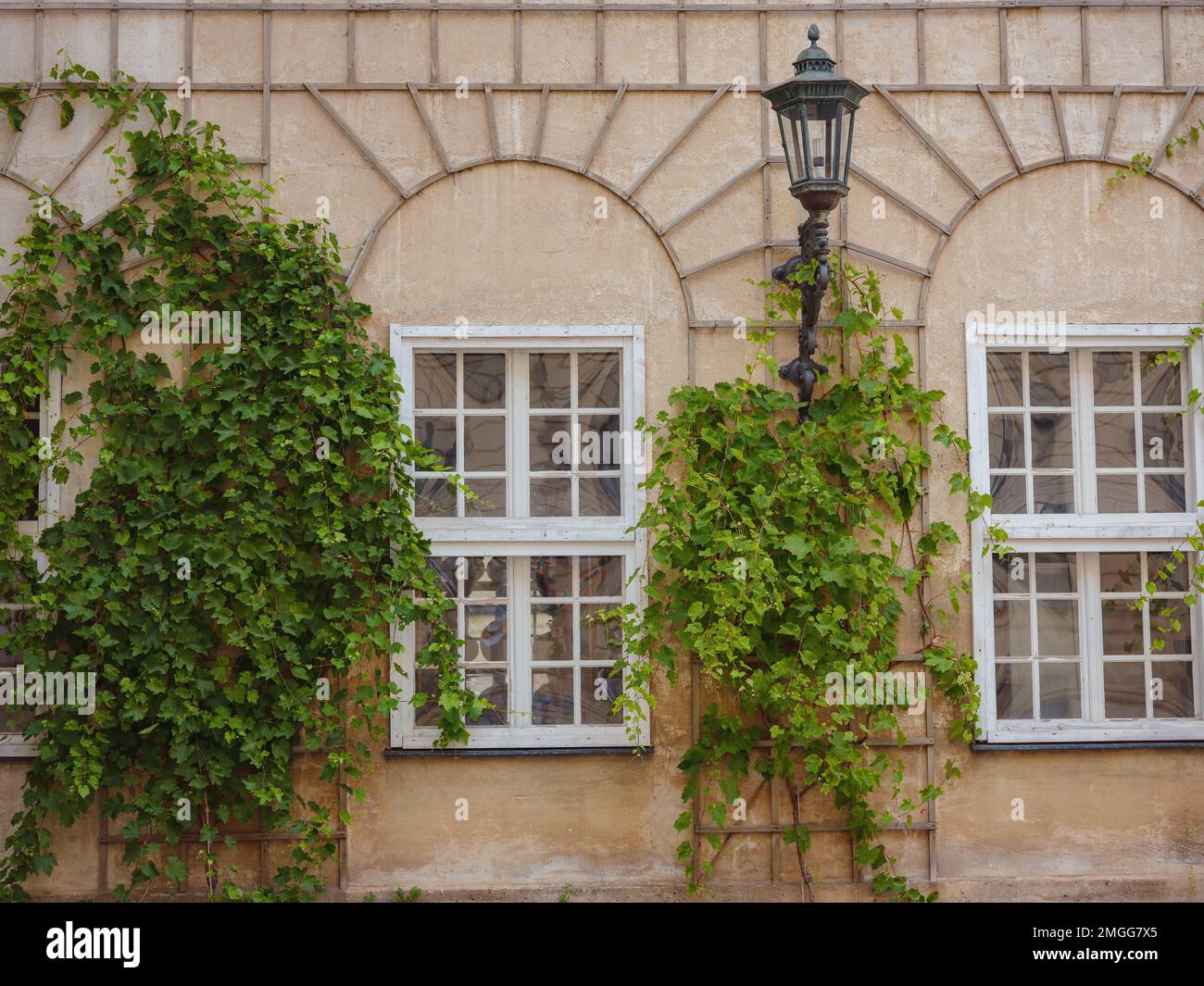 facade of a residential building with green plants. old european house ...