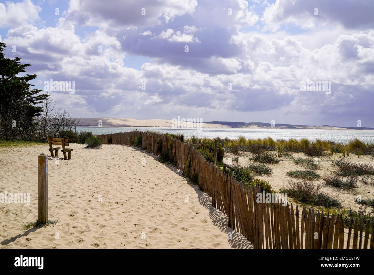landscape pyla dune pathway access Atlantic beach in sand dunes fence ...