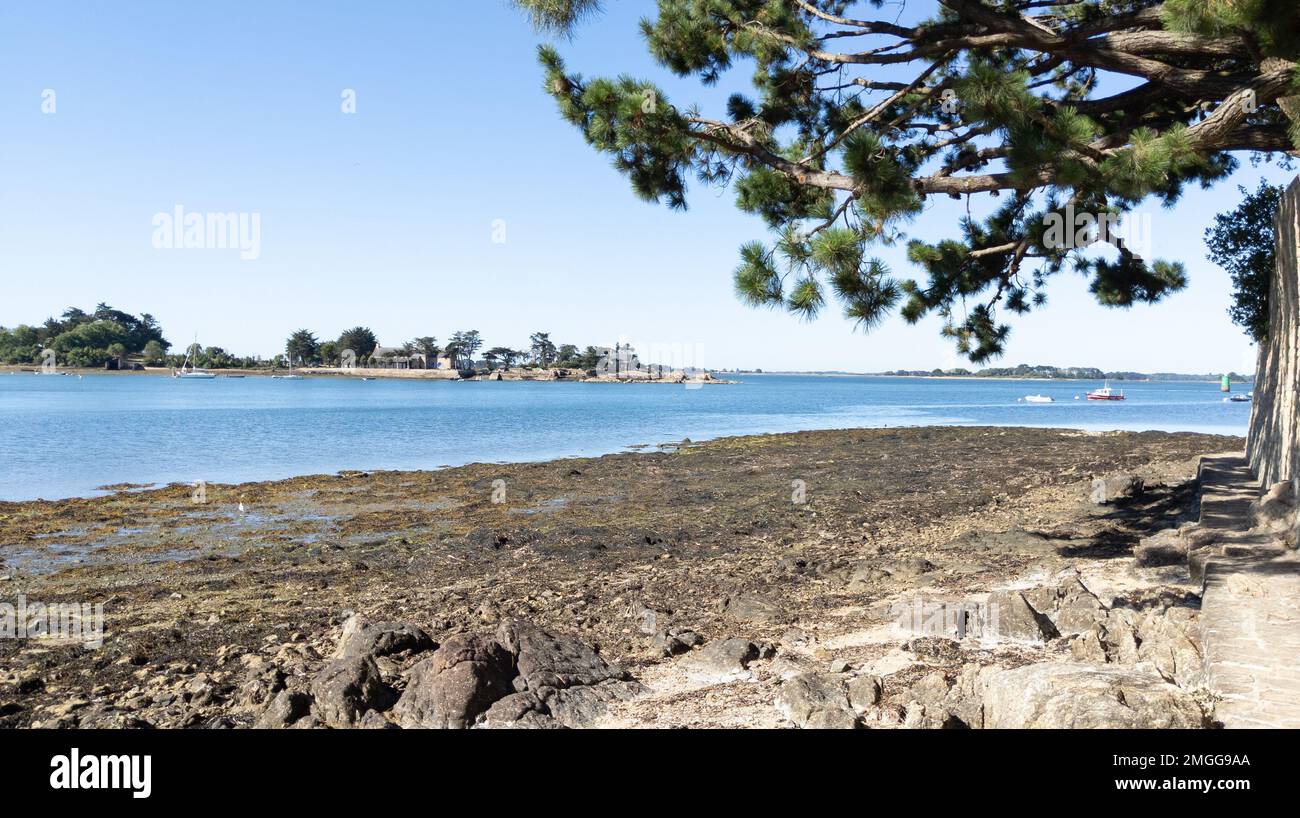 Vannes sea in sene ocean atlantic in brittany France Stock Photo - Alamy