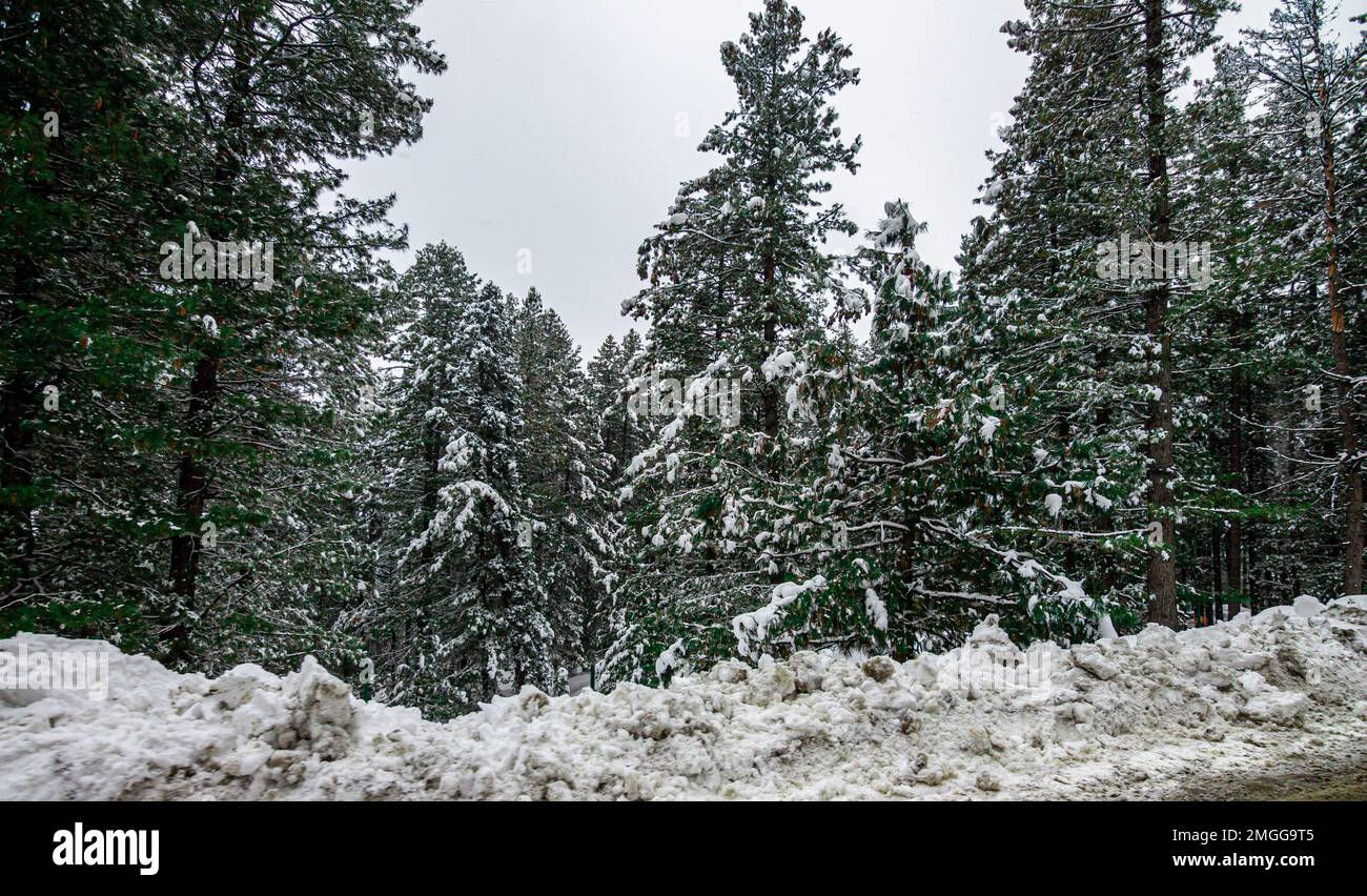 Gulmarg snow hi-res stock photography and images - Alamy