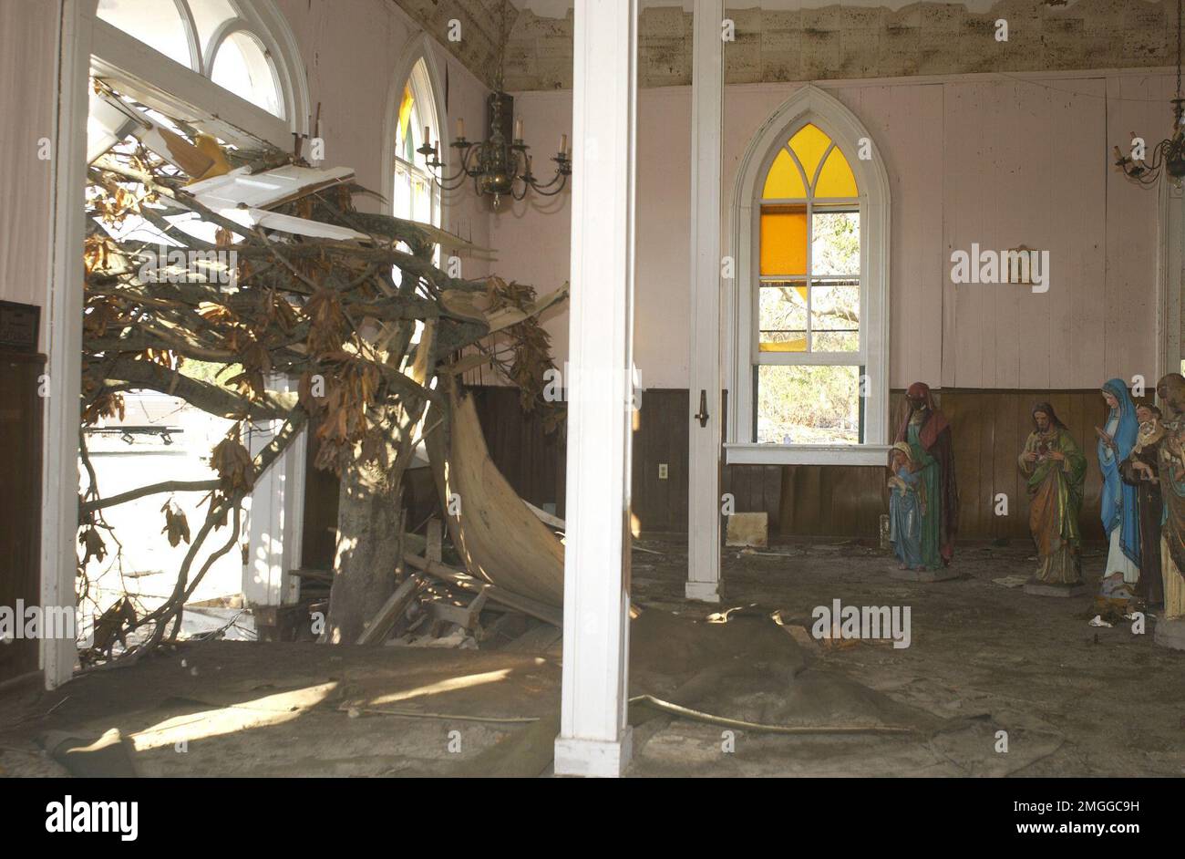 Coast Guard on Scene Damages - 26-HK-82-66. CG On Scene Damages--tree ...