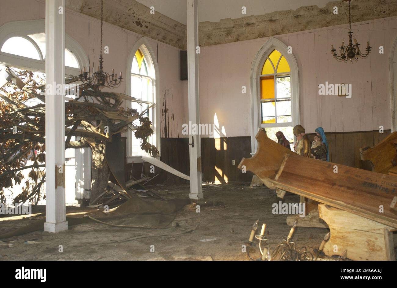 Coast Guard on Scene Damages - 26-HK-82-11. CG On Scene Damages-- tree ...