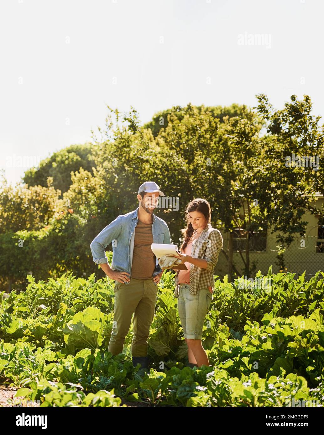 Farming and organization go hand in hand. two happy young farmers ...