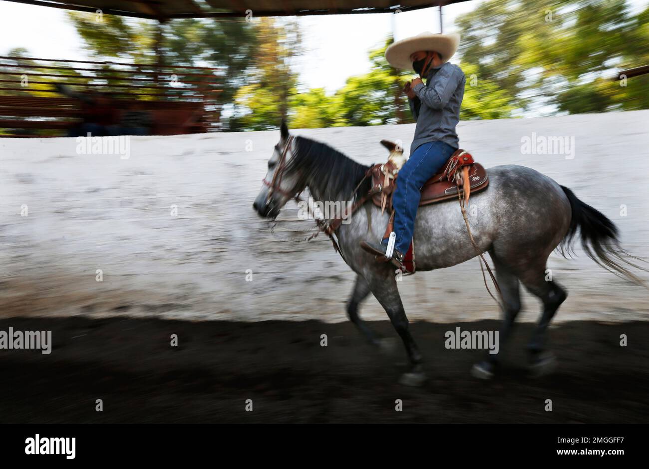 Mexican cowboy or “Charro” Leonardo Flores, rides a horse called Rabbit ...