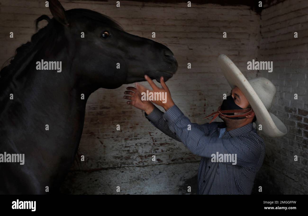 Wearing a mask against the spread of the new coronavirus, Mexican ...