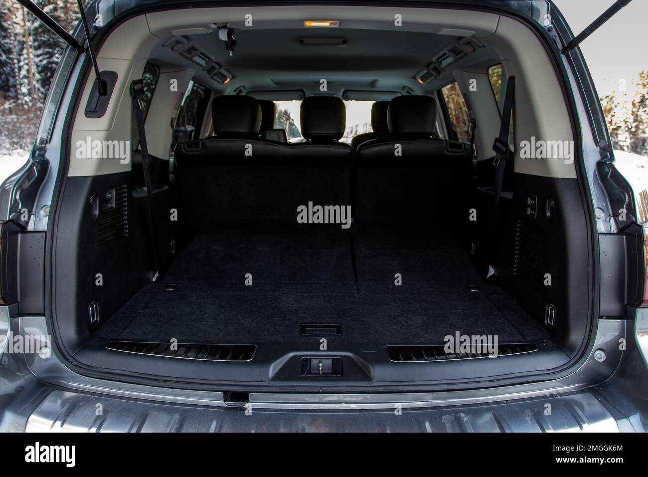 Huge, clean and empty car trunk in interior of compact suv. Rear view ...