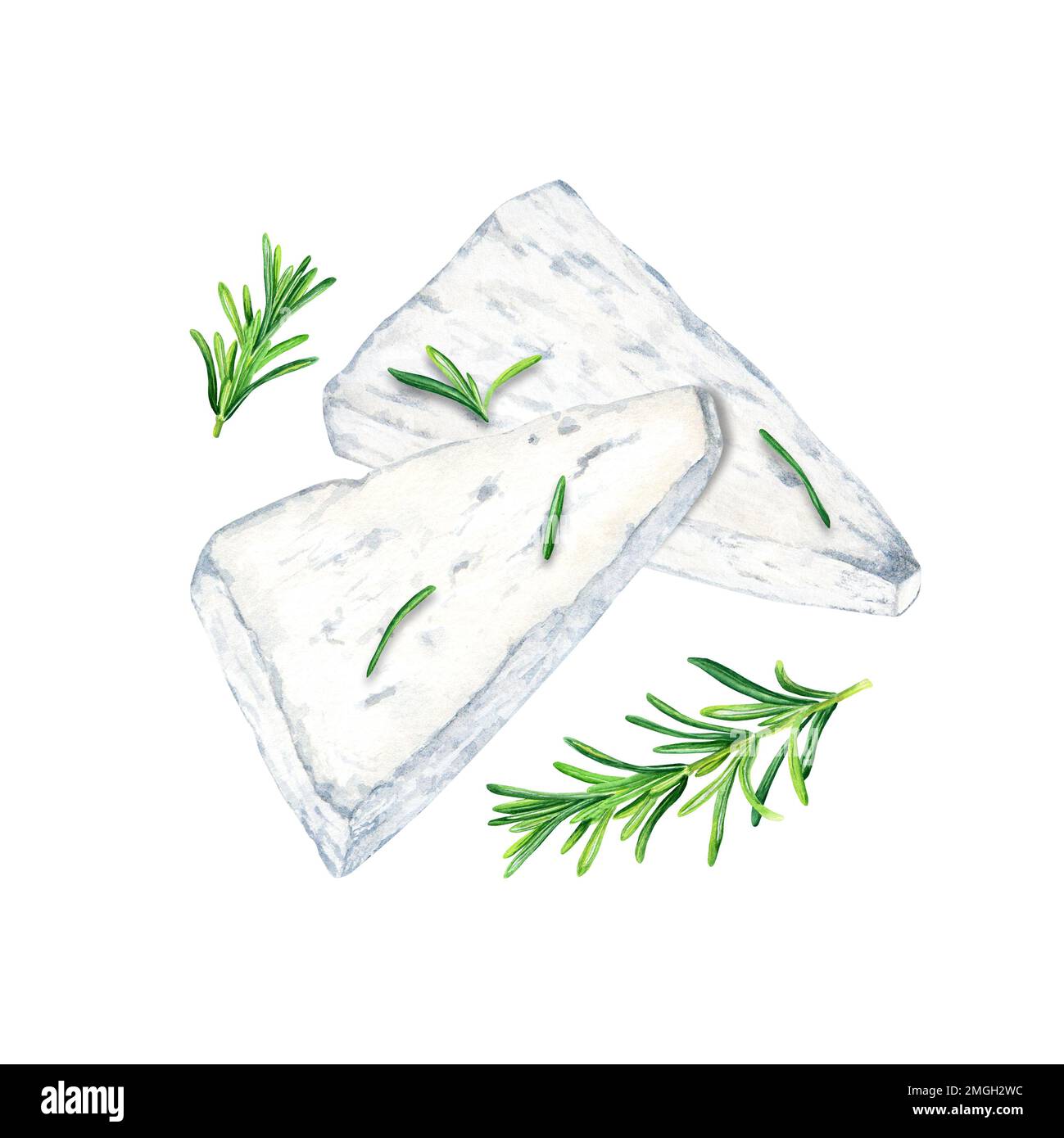 Greek feta cheese slices and rosemary herb composition. Watercolor ...