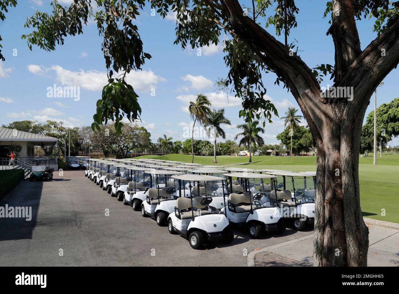 Golf carts are lined up ready for use at the Melreese Country Club ...